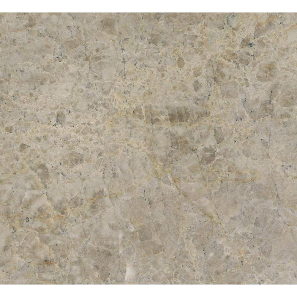 STONEMARK 3 in. x 3 in. Quartzite Countertop Sample in Savoie DT-Q489