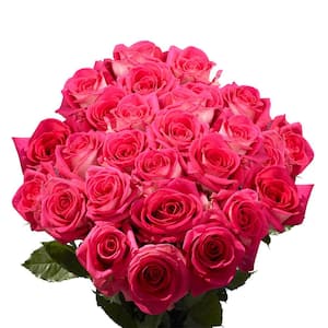 Globalrose Fresh Pink Color Roses (100 Stems) attache-medium-100 - The ...