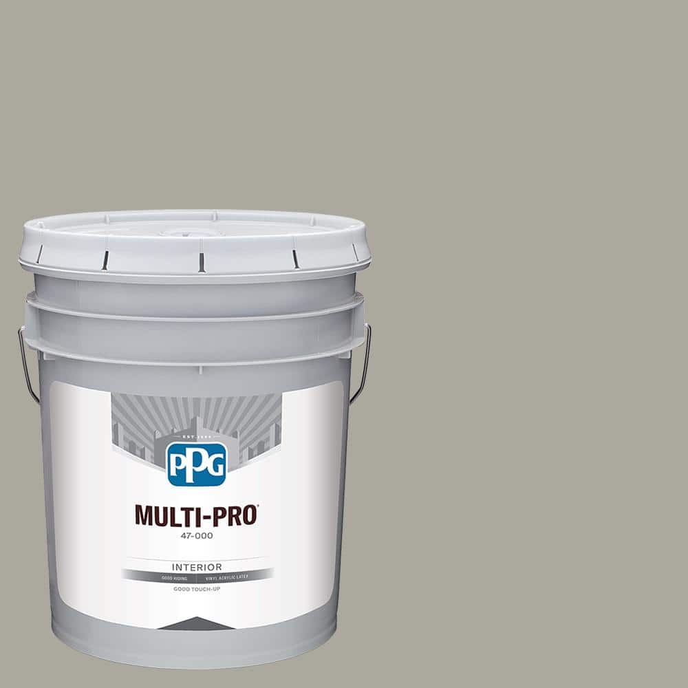 MULTI-PRO 5 gal. Hot Stone PPG1007-4 Flat Interior Paint PPG1007-4MP ...
