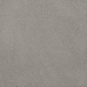 Home Decorators Collection 8 in. x 8 in. Texture Carpet Sample - First ...