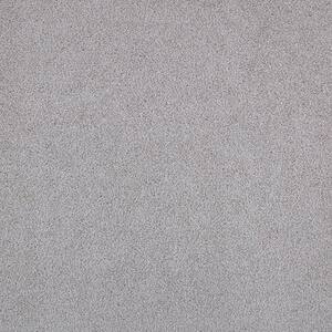 Mohawk 8 in. x 8 in. Texture Carpet Sample - Playful Moments I (M ...