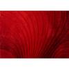 NUBE "3D Shaggy" Red Swirl 5 ft. x 7 ft. Polyester Area Rug 3D305R-57 ...