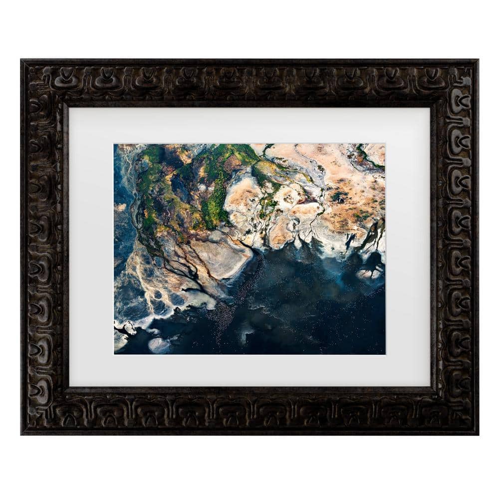 Trademark Fine Art John Fan Splendid Africa Matted Framed Photography ...