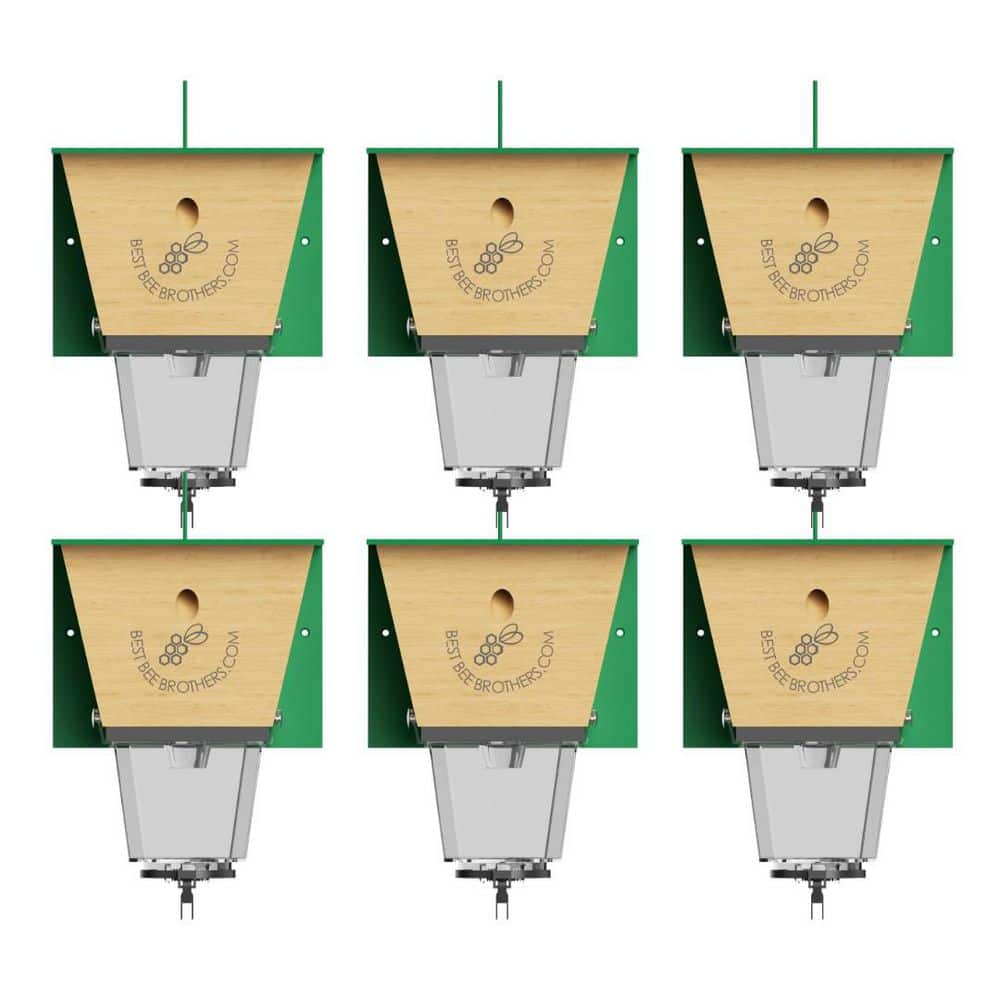 Best Bee Brothers Ultimate Pro Carpenter Bee Trap with Bee Vault and ...