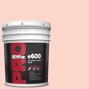 BEHR PRO 1 gal. #P180-1 Deco Shell Low Luster Exterior Paint PR62001 ...