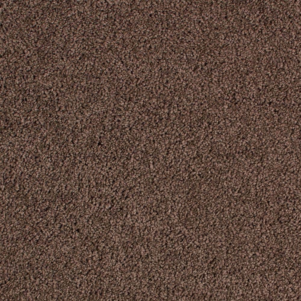 Lifeproof with Petproof Technology 8 in. x 8 in. Texture Carpet Sample ...