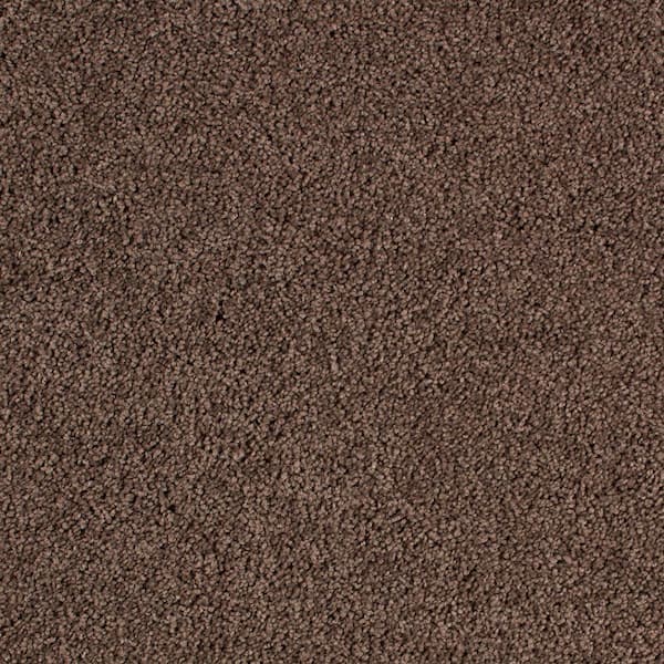 Lifeproof with Petproof Technology 8 in. x 8 in. Texture Carpet Sample ...