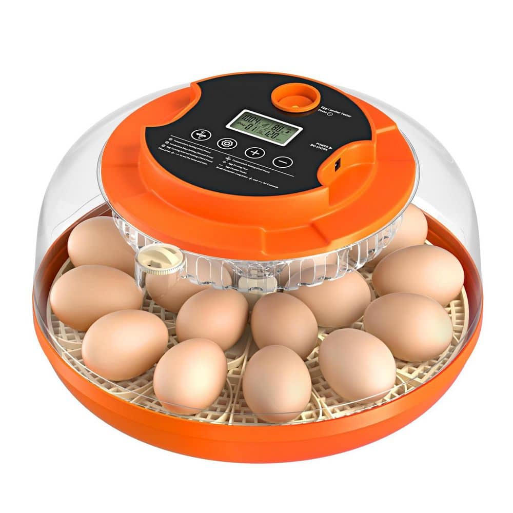 .N/A 18 Egg Incubator with Auto Turning, Humidity Control, Candler ...