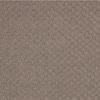Home Decorators Collection 8 in. x 8 in. Pattern Carpet Sample ...