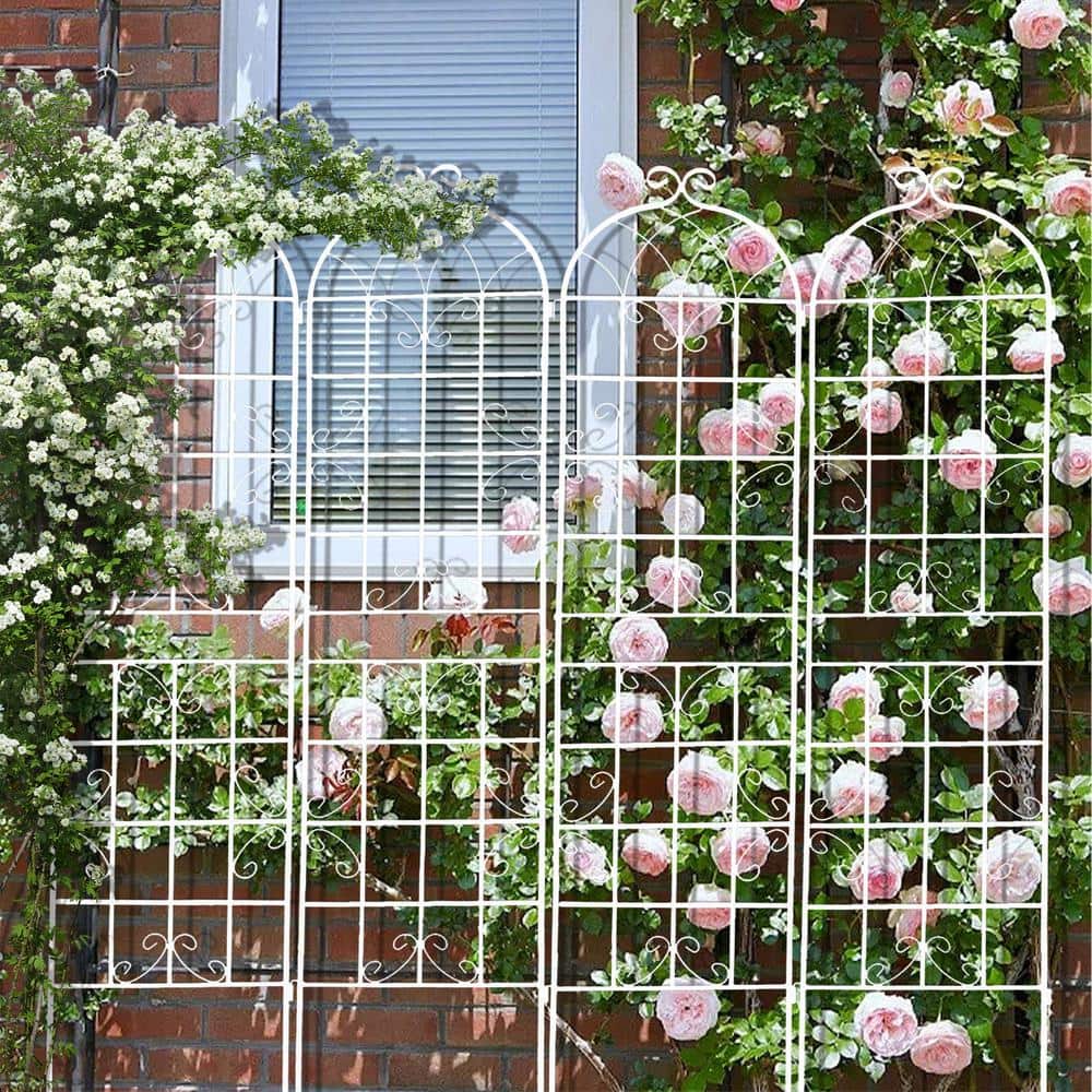 Tunearary 86 .7 in. x 19.7 in. Metal Garden Trellis, Rustproof Trellis ...