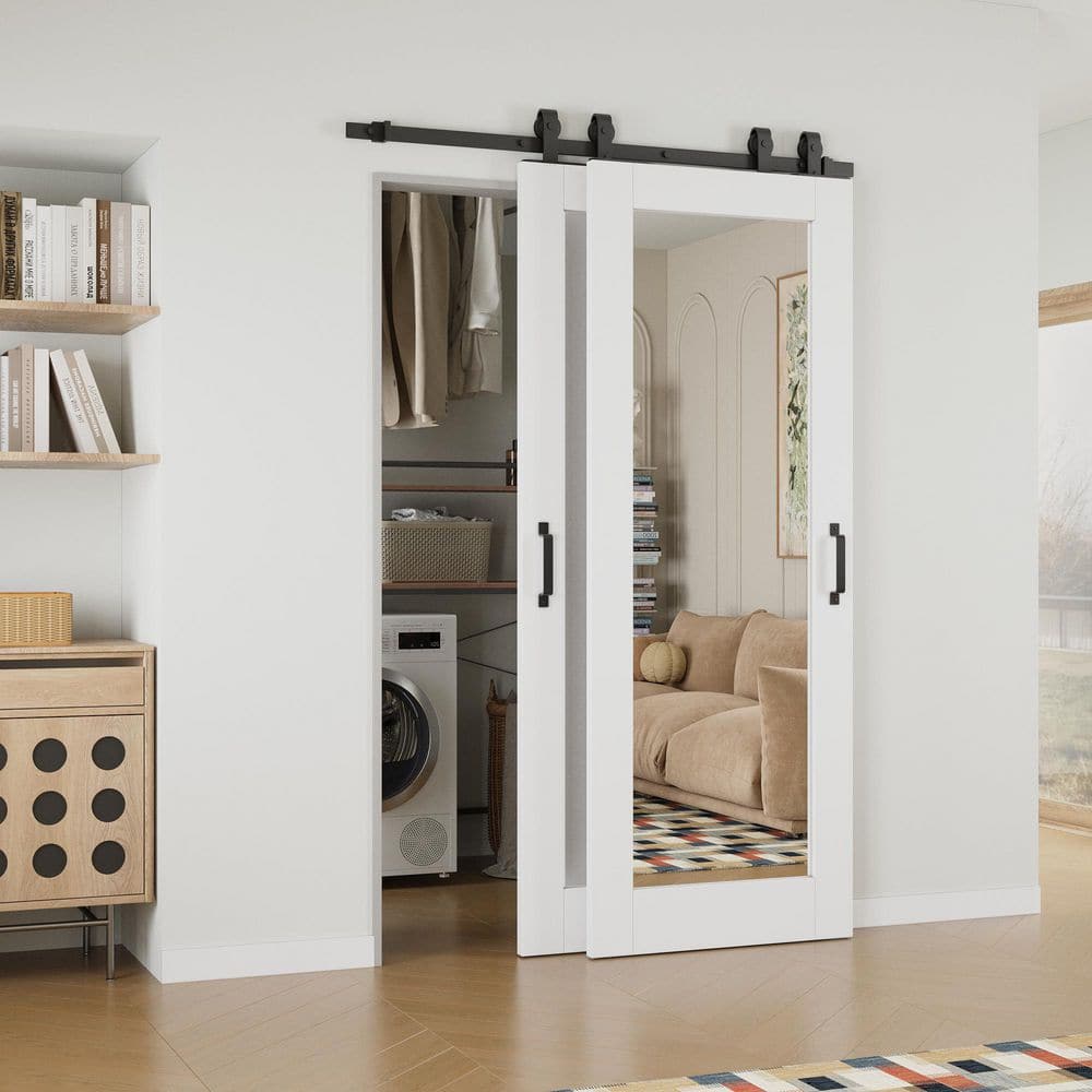Reviews for EH PUERTA 52 in. x 80 in. (Double 30 in.) 1-Lite Mirrored ...
