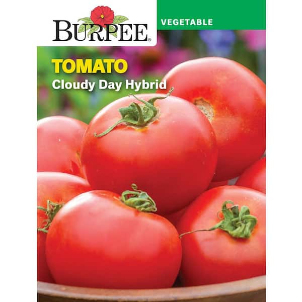 Tomato - Burpee - Vegetable Seeds - The Home Depot