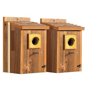 Justincity 1-Bird Cedar Wood Bluebird Bird Houses Nest Box with ...
