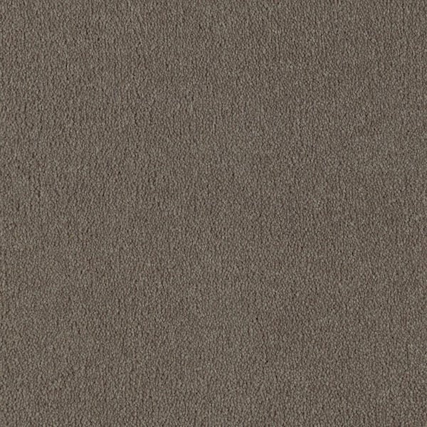 TrafficMaster Turbo I - Color True Taupe Texture 12 ft. Carpet 0360D-26 ...