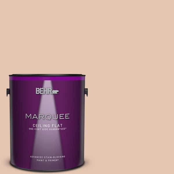 BEHR MARQUEE 1 gal. #MQ1-31 Cockleshell One-Coat Hide Ceiling Flat ...