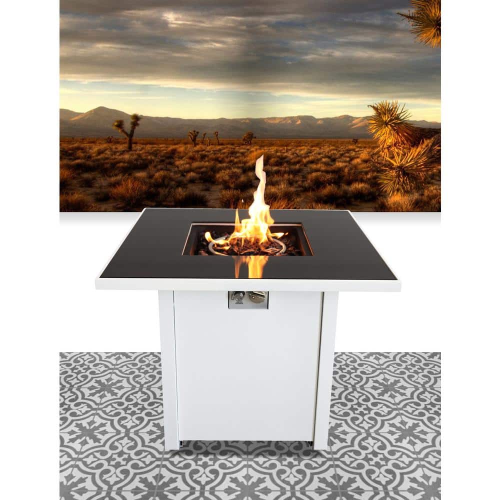 30 in. White Steel Propane/Natural Gas Fire Pit Table, 40,000 BTU ...