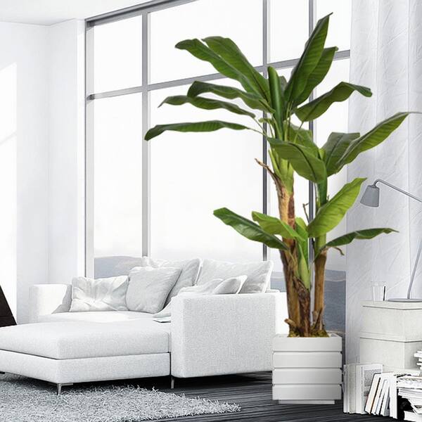 Banana Tree Decoration