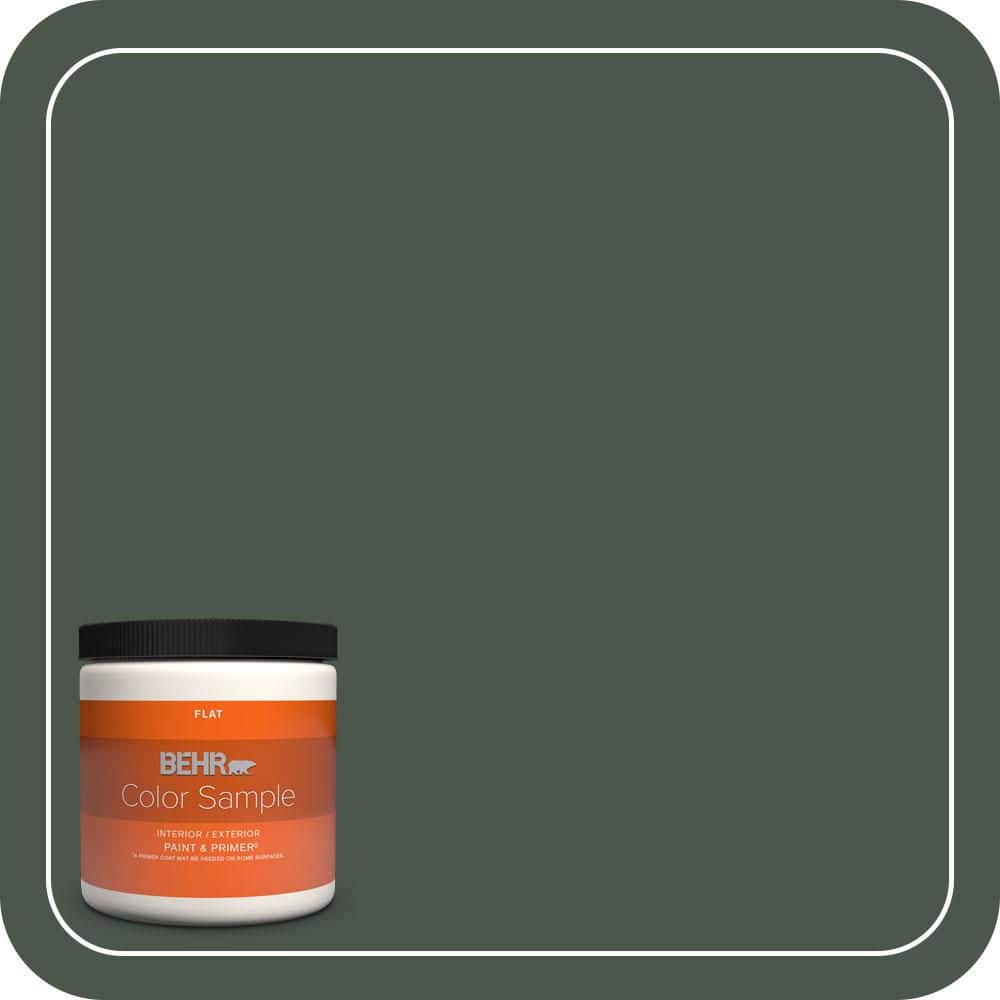 BEHR PREMIUM PLUS 8 oz. #PMD-66 Deep Evergreen Flat Interior/Exterior ...