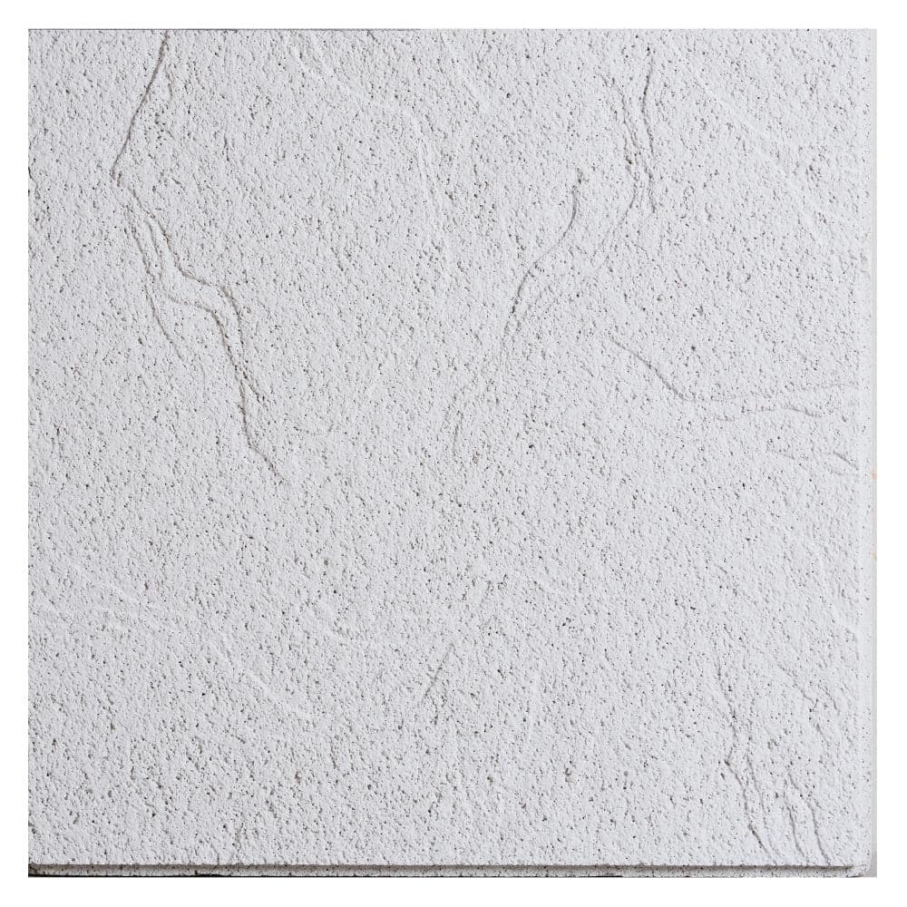 USG Ceilings 2 ft. x 2 ft. Sandrift White Shadowline Edge Lay-In ...
