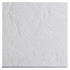 USG Ceilings 2 ft. x 2 ft. Sandrift White Fineline Edge Lay-In Ceiling ...