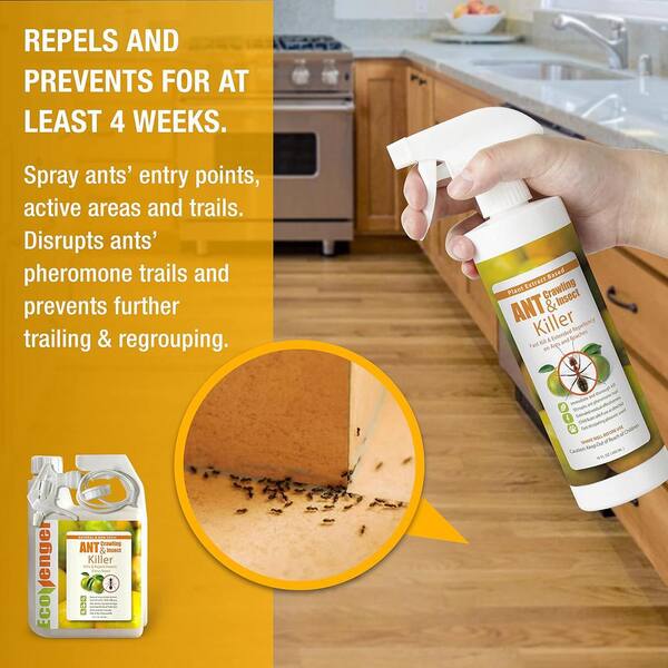 Ant spray safe for pets store