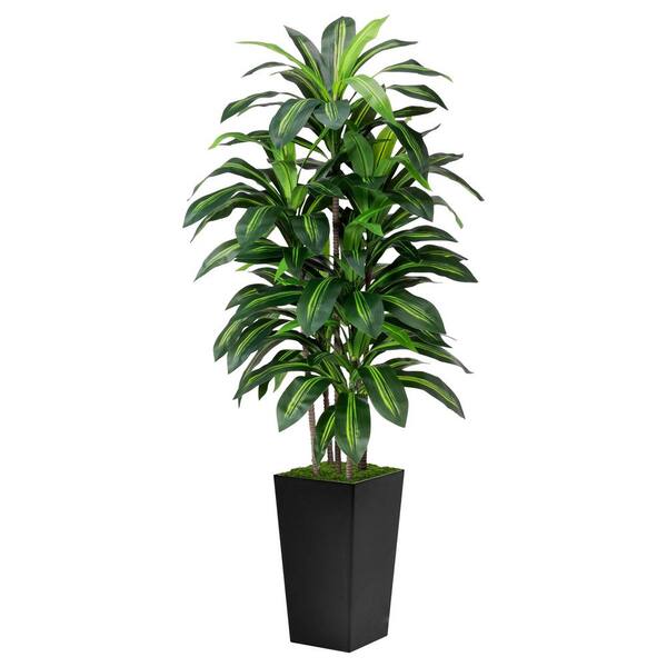 9 in Black Faux Dracaena Artificial Indoor Shrub with Planter and Moss ...