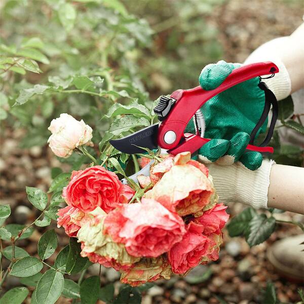 Garden Secateurs Generic 6.5 Inch Gardening Hand Pruner Pruning Shear ...