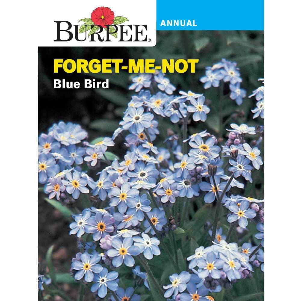 Burpee Forget Me Not Blue Bird Flower Seed 43777 - The Home Depot