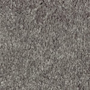 Lifeproof 8 in. x 8 in. Texture Carpet Sample - Mason II -Color ...