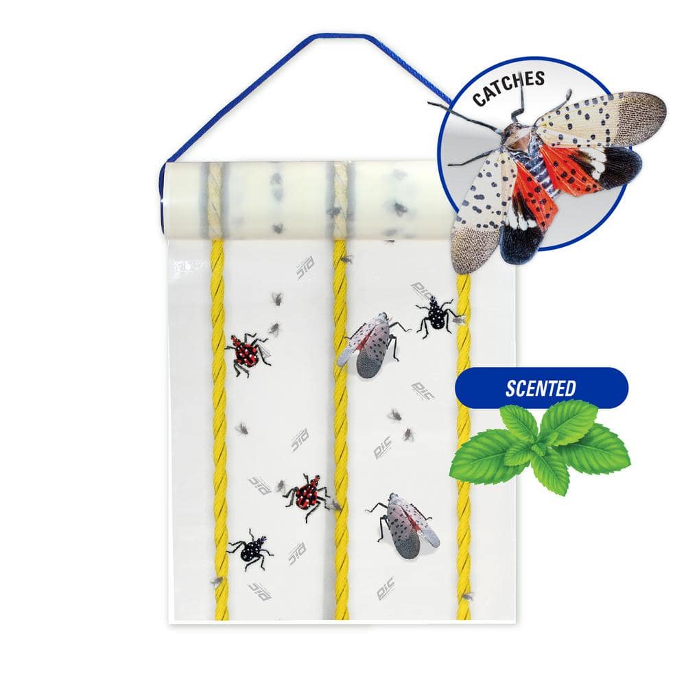 PIC Spotted Lantern Fly Trap 20 ft. Roll SLF The Home Depot