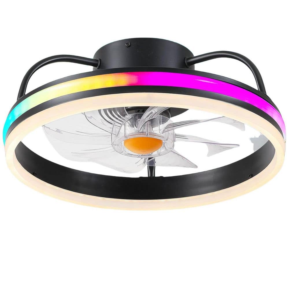 Kviflon 16 in. indoor Modern Small Black Ceiling Fans with Dimmable RGB ...