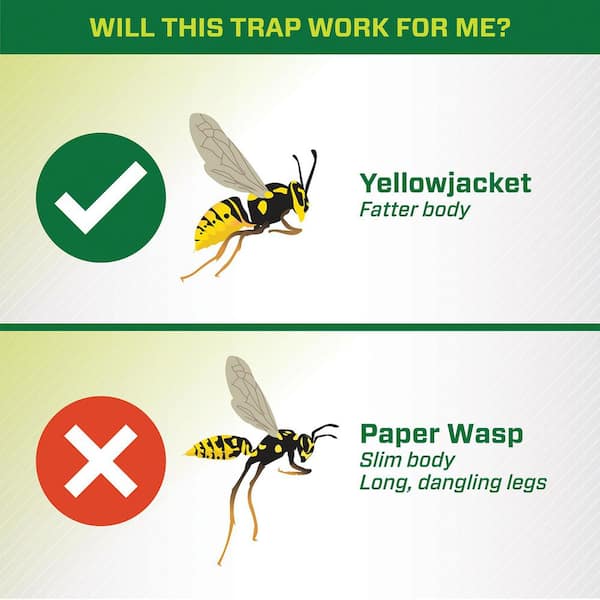 RESCUE 10-Week Yellowjacket Trap Refill Cartridge YJTC-DB9 - The Home Depot