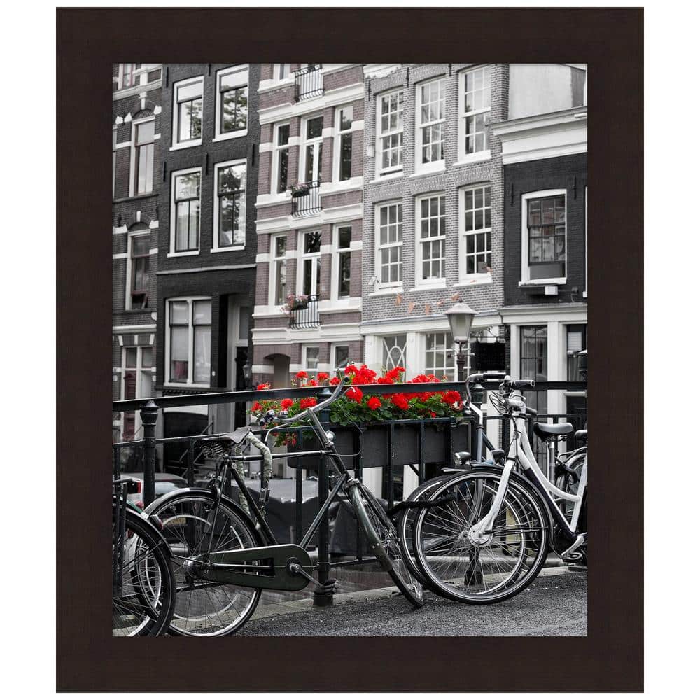 Amanti Art 20 in. x 24 in. Carlisle Espresso Wood Picture Frame Opening ...