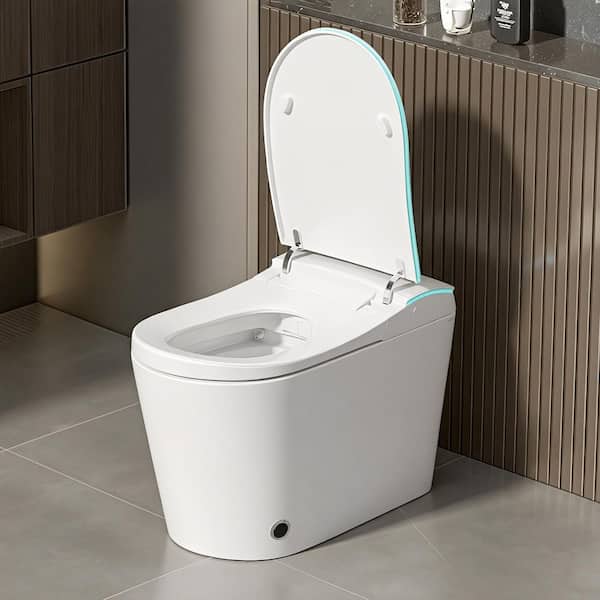 Extra Tall - Bidet Toilets - The Home Depot