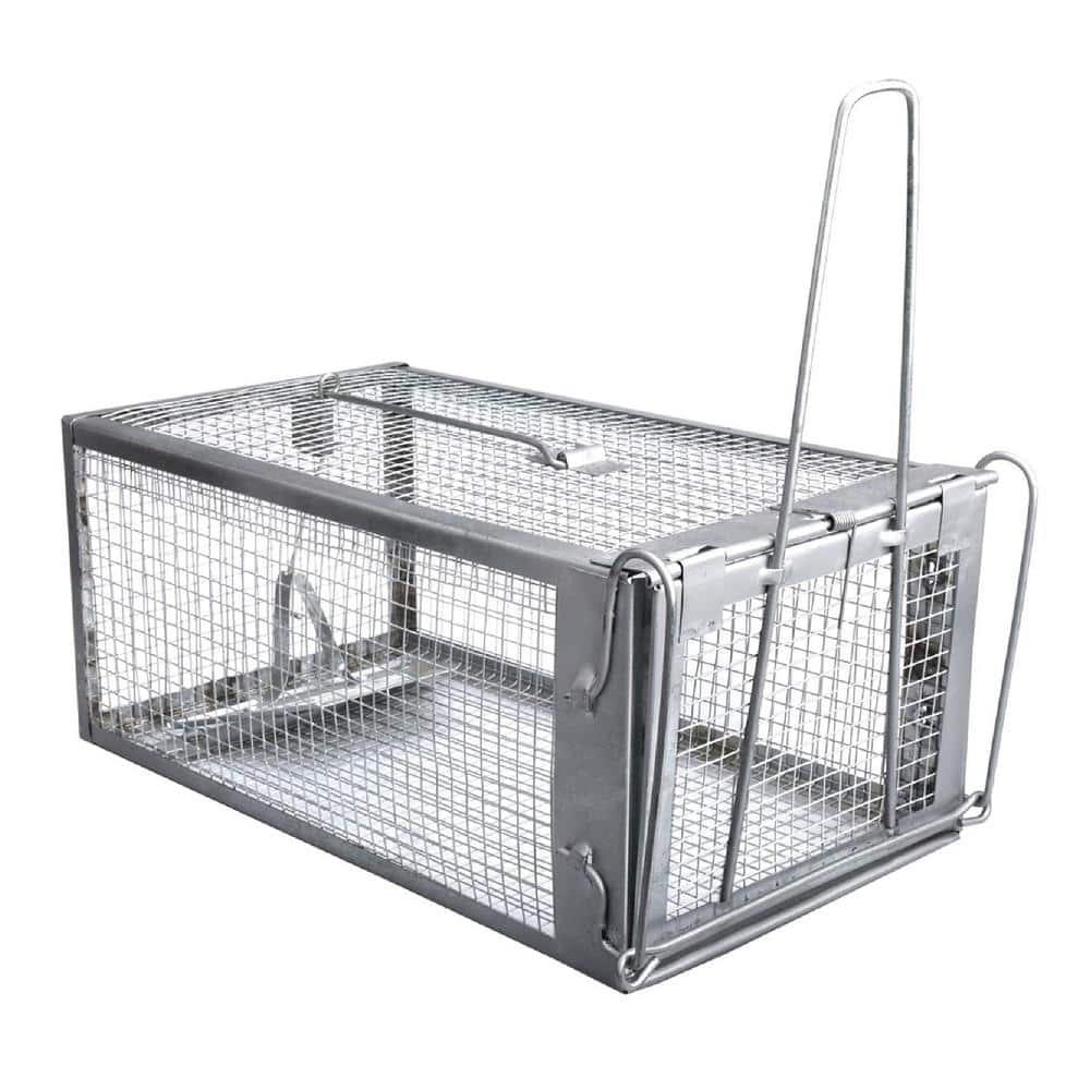 Justincity Indoor/Outdoor Metal Rat Mouse Cage Trap Live Chipmunk Trap ...