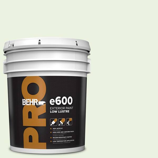 BEHR PRO 5 gal. #P380-1 Magic Mint Low Luster Exterior Paint PR62005 ...