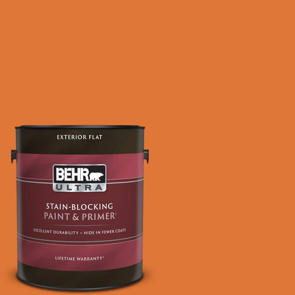 Benjamin Moore Carrot Stick