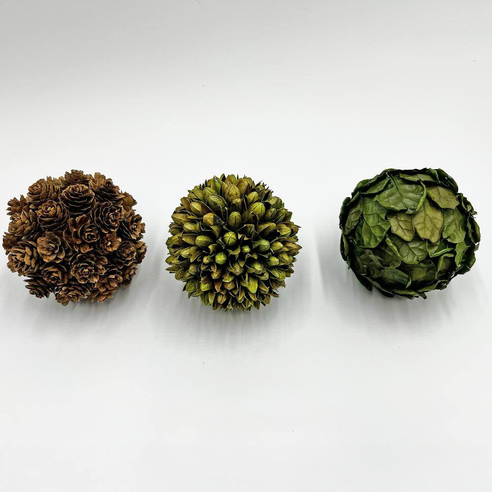 castellousa Preserved Pinecone and Oak Leaves Topiary Balls for Home ...