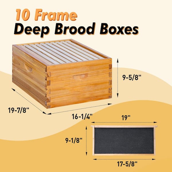 Bee Hive Frame Dimensions
