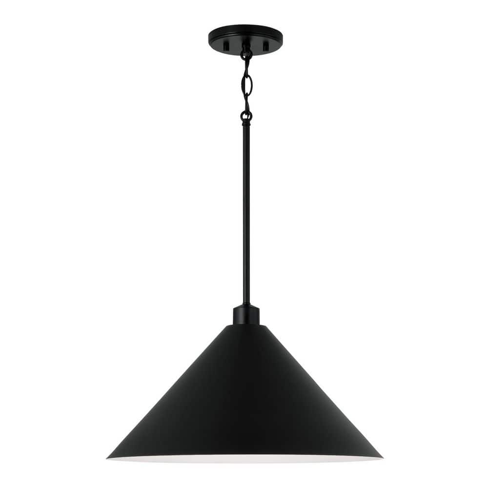 Capital Lighting Fixture Company Alden 100-Watt 1-Light Matte Black ...