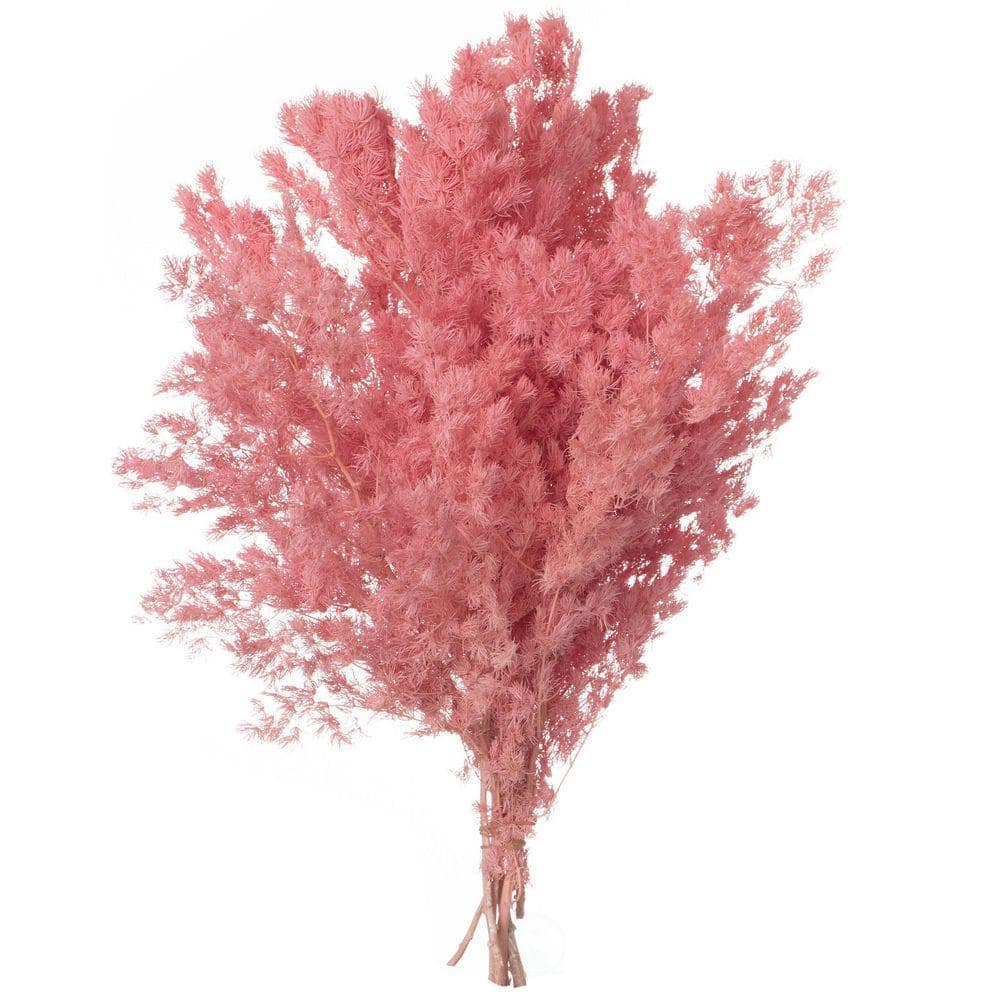 Uniquewise 17 in. Peng Lai Song Real Floral Stem Chic Vase Filler and ...