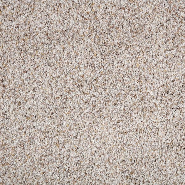 Lifeproof with Petproof Technology 8 in. x 8 in. Texture Carpet Sample ...