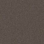 FENIX NTM 4 ft. x 8 ft. Laminate Sheet in Beige Arizona J0748JLFN408301 ...