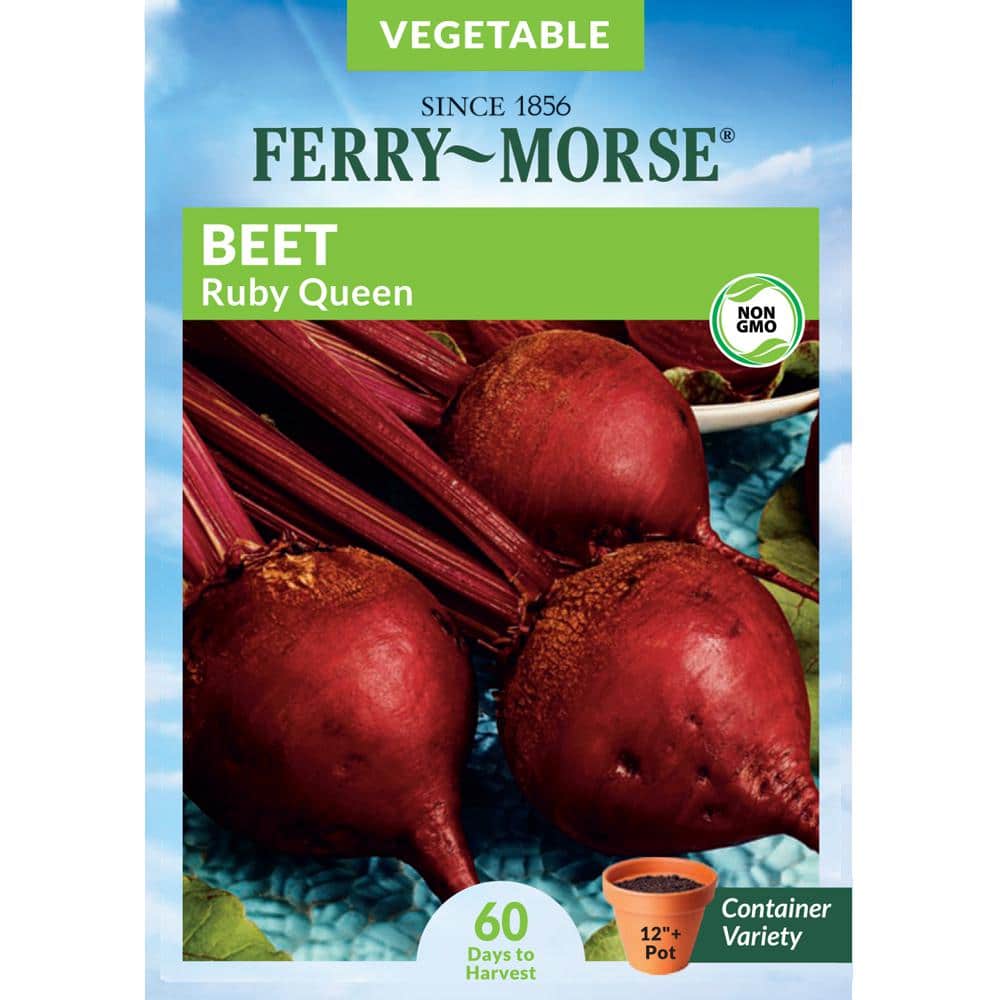 Ferry-Morse Beet Ruby Queen Vegetable Seed 7103 - The Home Depot