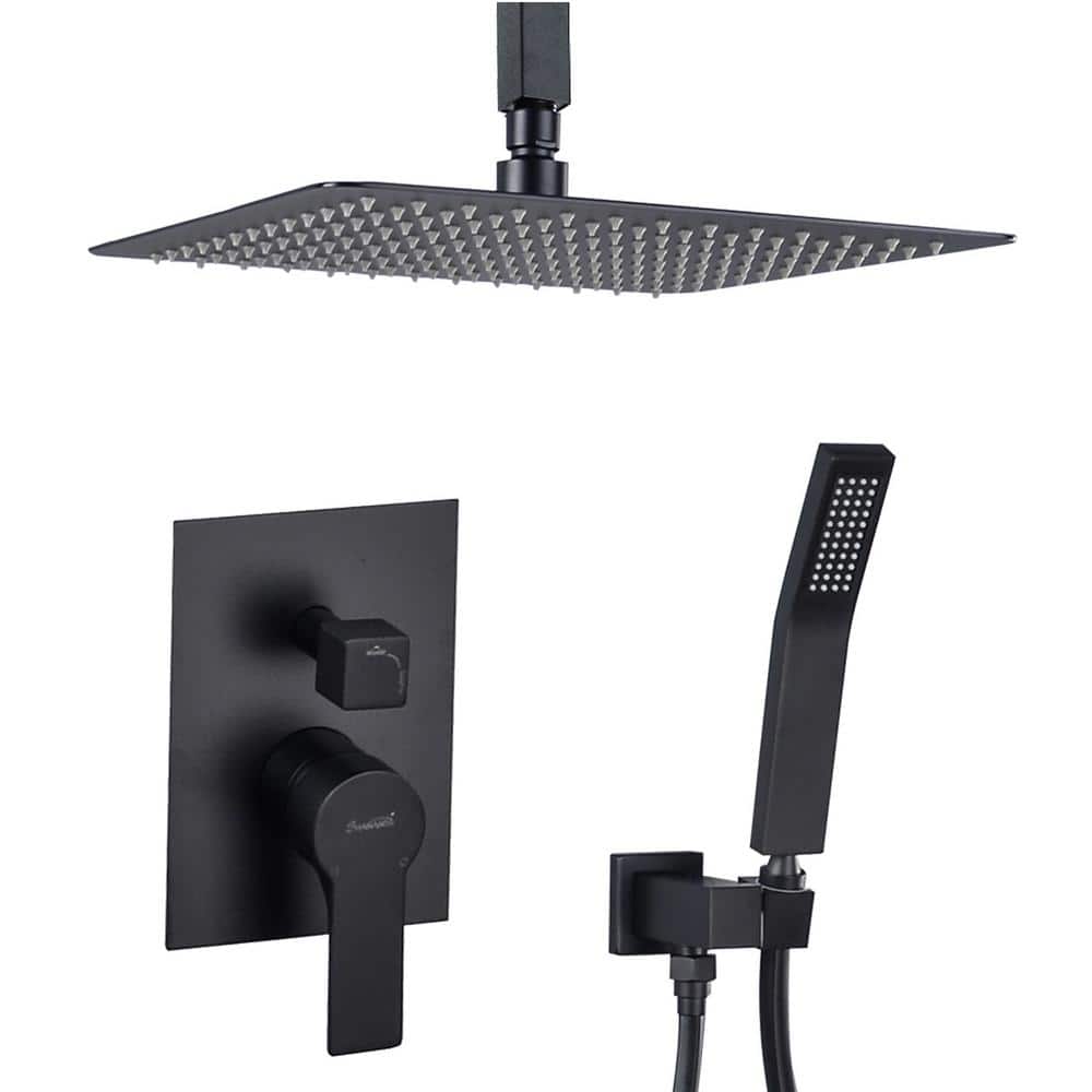 Aurora Decor Aca 1-Spray Patterns 12 in. Ceiling Mount Dual Shower ...