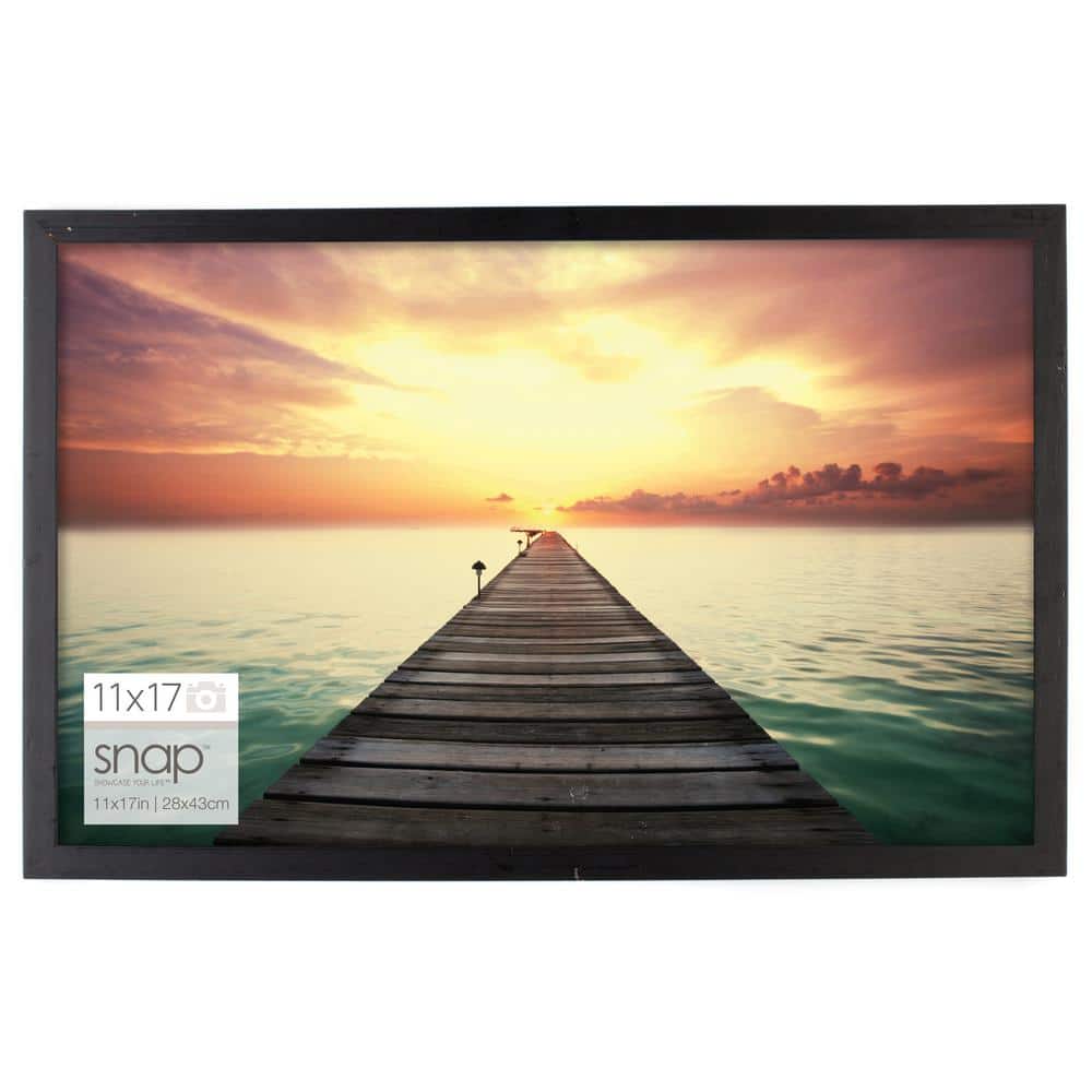 Pinnacle 11 in. x 17 in. Poster Picture Frame 10FW1570E - The Home Depot