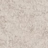 Caesarstone Quartz Countertop Sample in Moorland Fog 6046 - The Home Depot