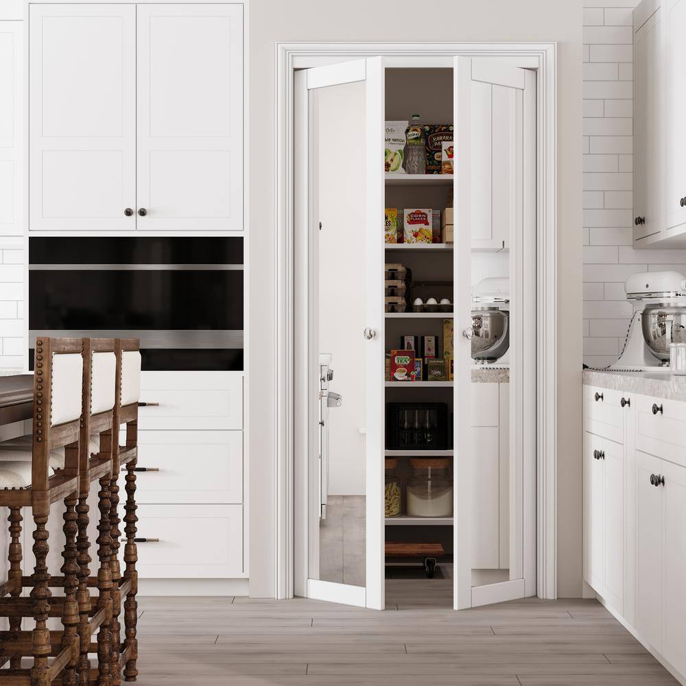 Reviews for ARK DESIGN 36 in. x 80 in. 1-Lite Mirrored Glass Solid Core ...