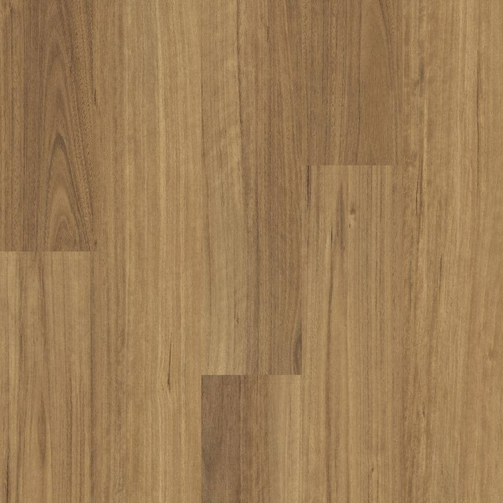 Shaw Take Home Sample - Inspiration Biddle Glue-Down Water Resistant ...