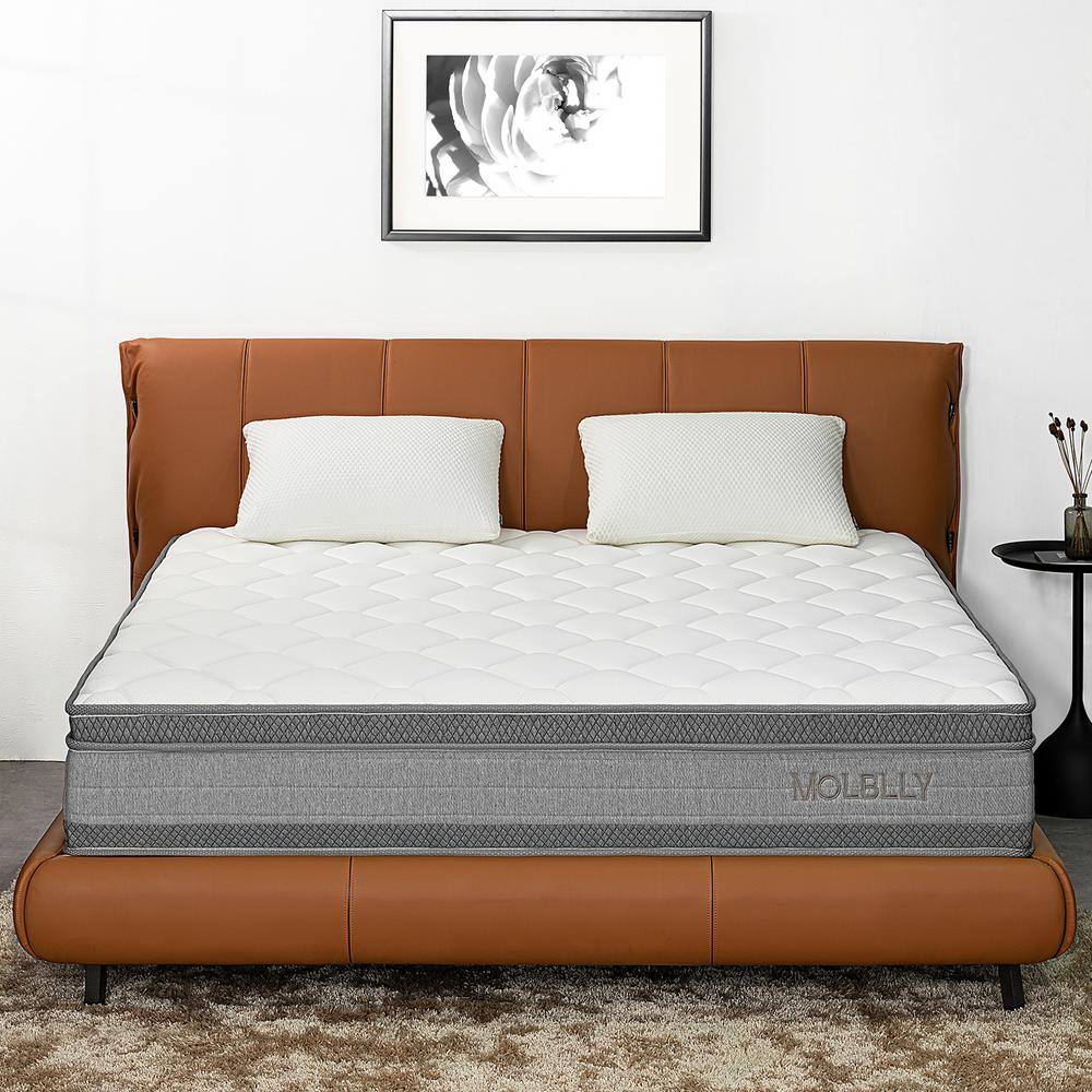 PICCHESS 14 in. Medium Euro Top Hybrid Full Hybrid Mattress with ...